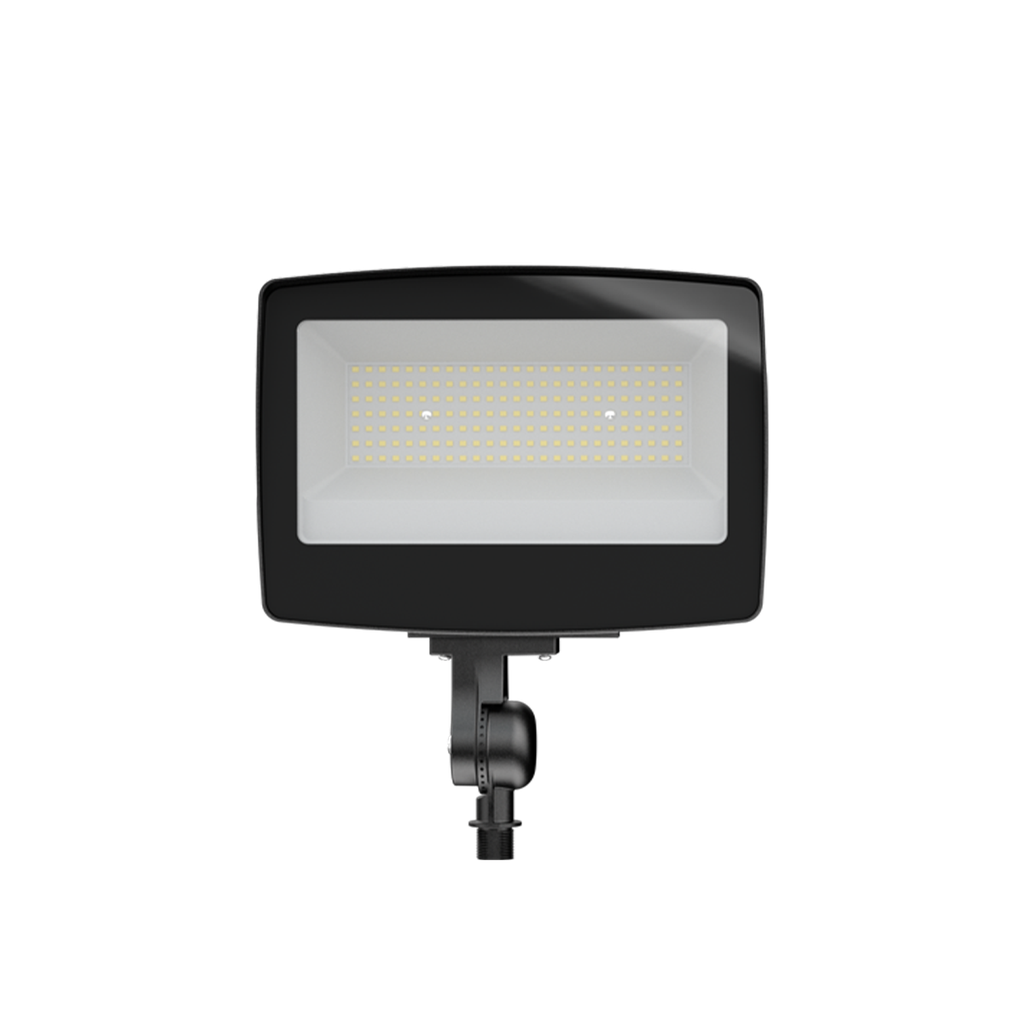 RENO Lighting Products by Popularity